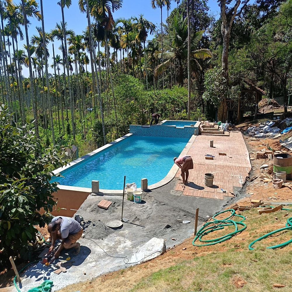 Reasons to Consider for Renovating your swimming pool?
