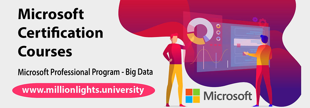 What is the Microsoft Professional Program all about?