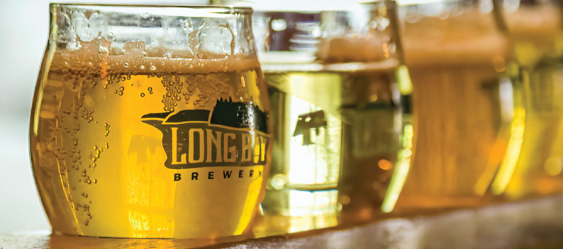 Craft Beer Tasting | Fundy Woods