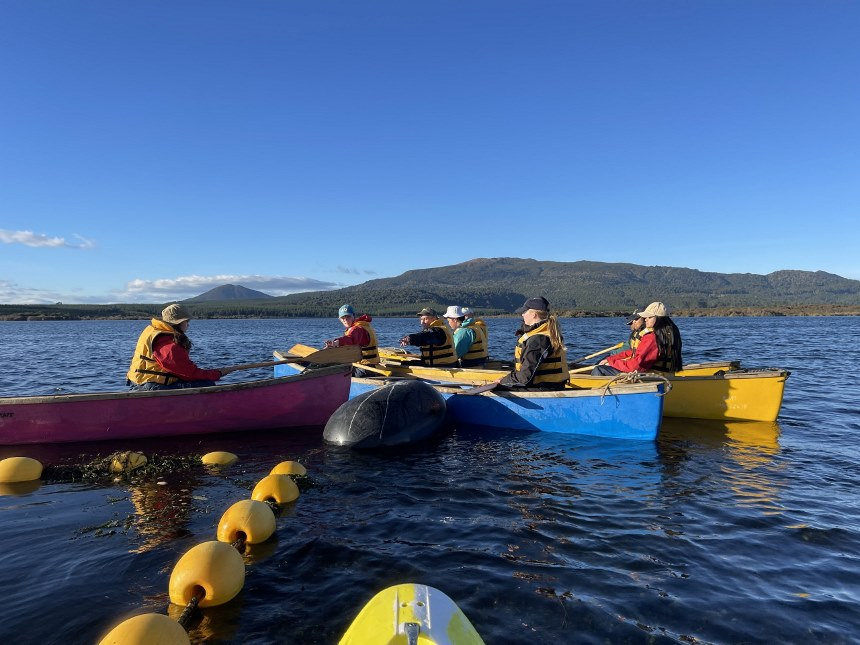 Heartbeat T4W2 19/10/23