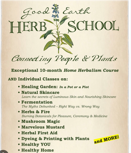 Herbal Class Part 2 (2023) | MLD