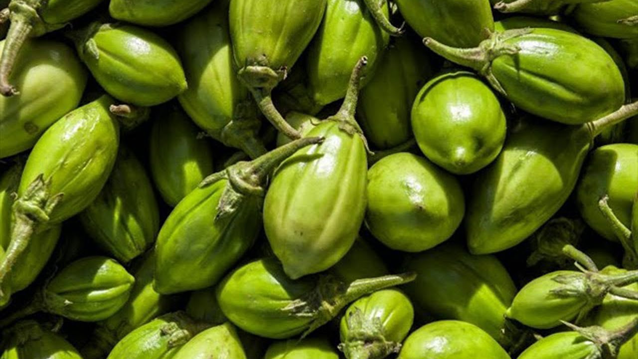 JILÓ