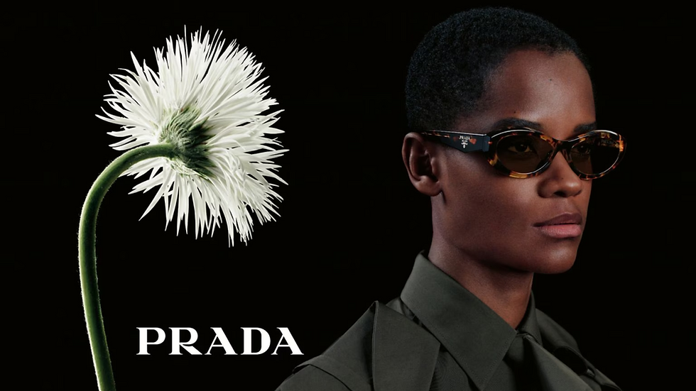 PRADA | J&J Optical