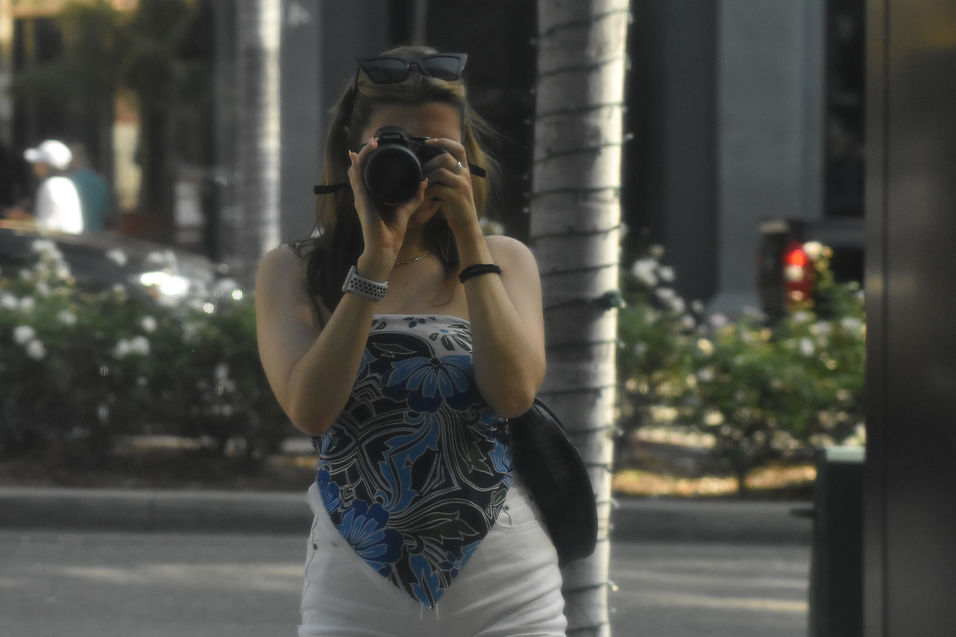 H O M E | Eloise Knight