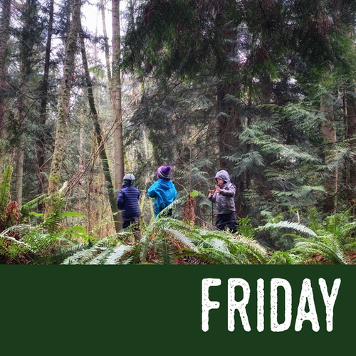 Friday - Nature Together Preschool Deposit | Nature Together