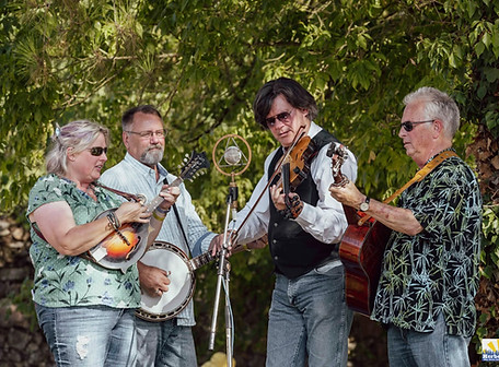 Bands | Rhode Island Bluegra