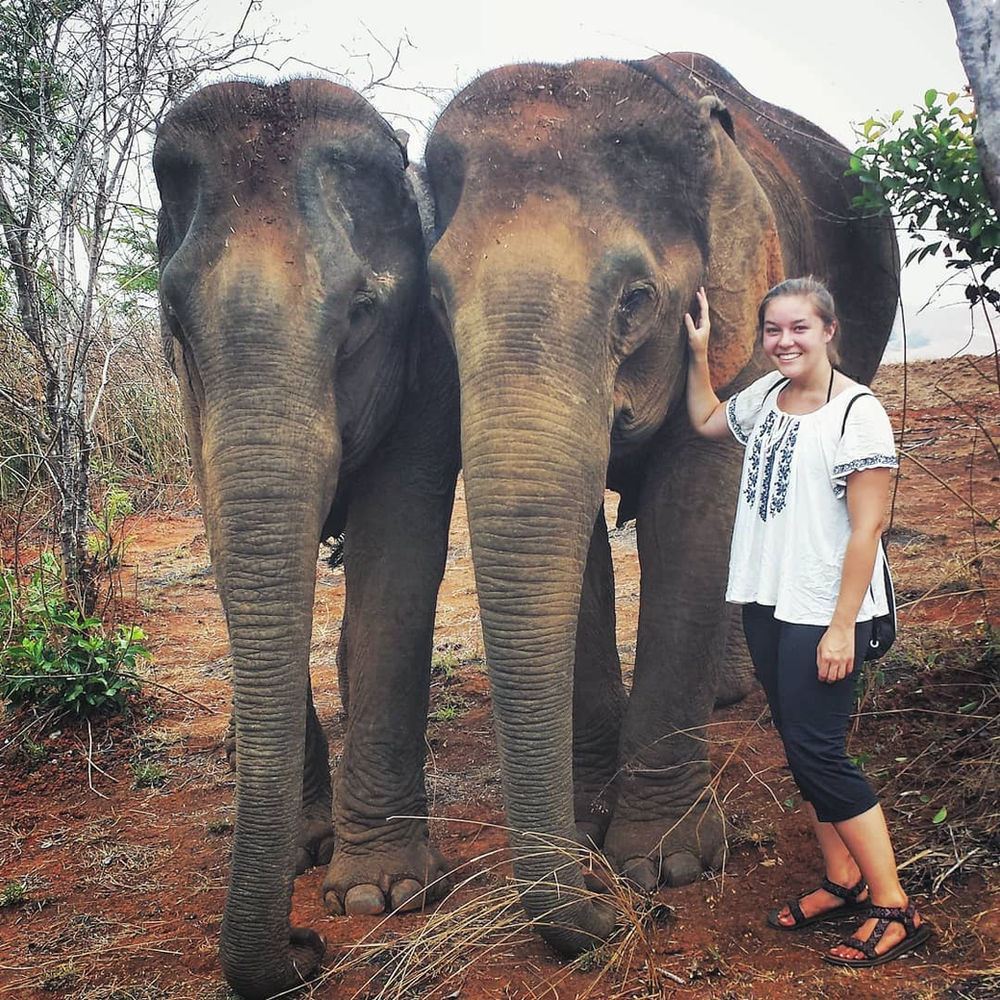 Leadership and the Elephant Matriarch