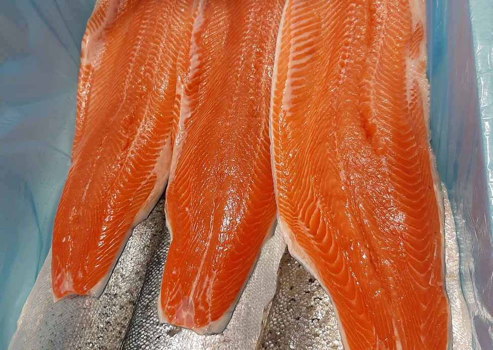 Iceland fish | NORA Seafood | Iceland