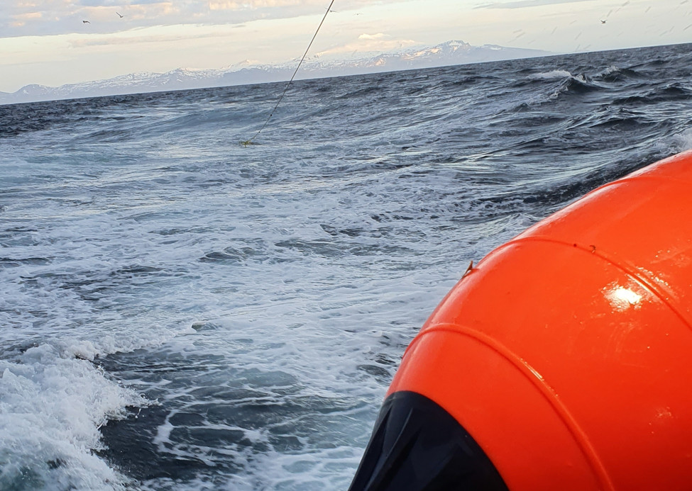 Iceland fish | NORA Seafood | Iceland