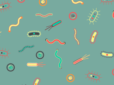 Deep Dive into your Gut: Exploring the Surprising Truth About the ...