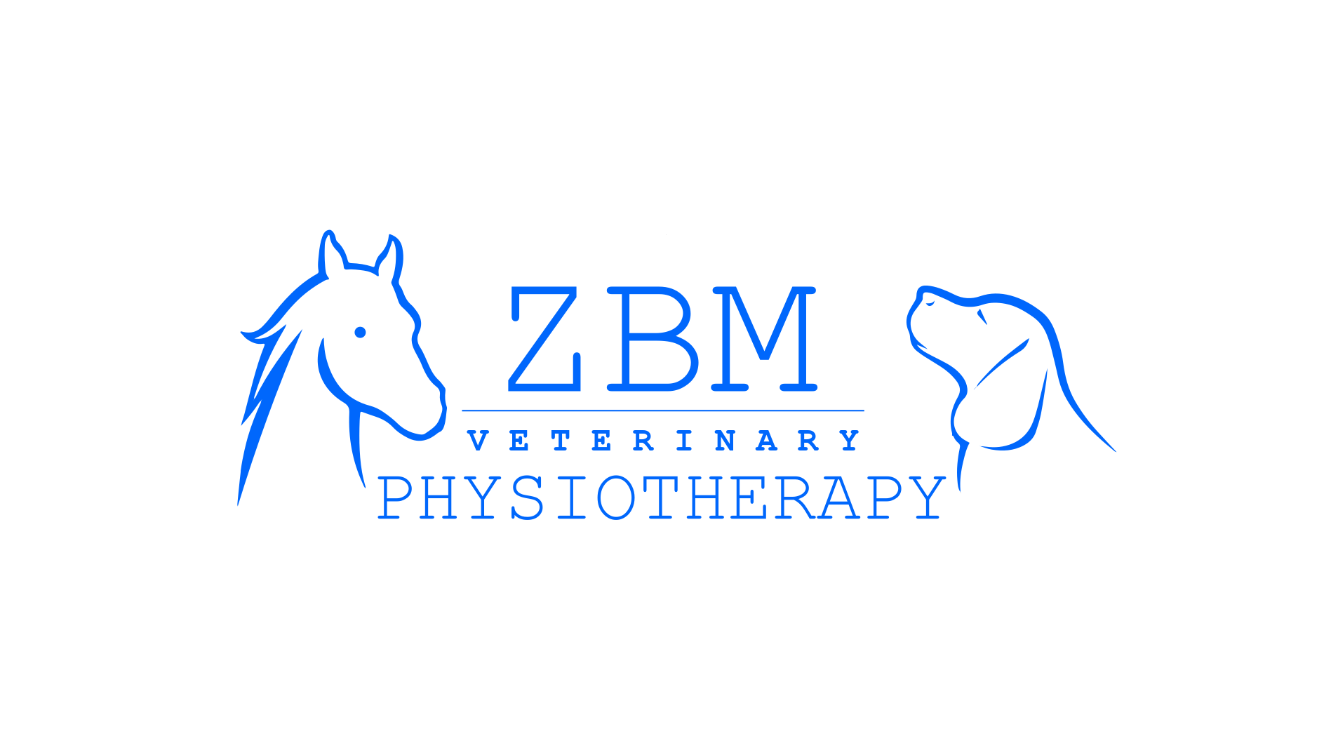 ZBM Veterinary Physiotherapy- Veterinary Rehabilitation, Hailsham.