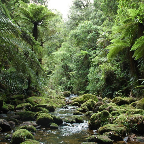 CREATE YOUR OWN ELIXIR | Teresa Goodin