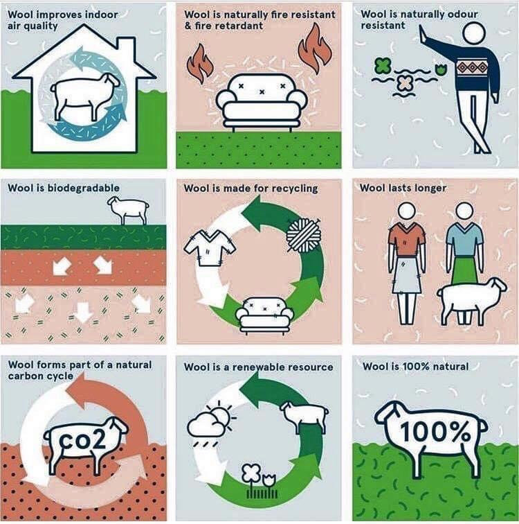 The wondrous properties of wool