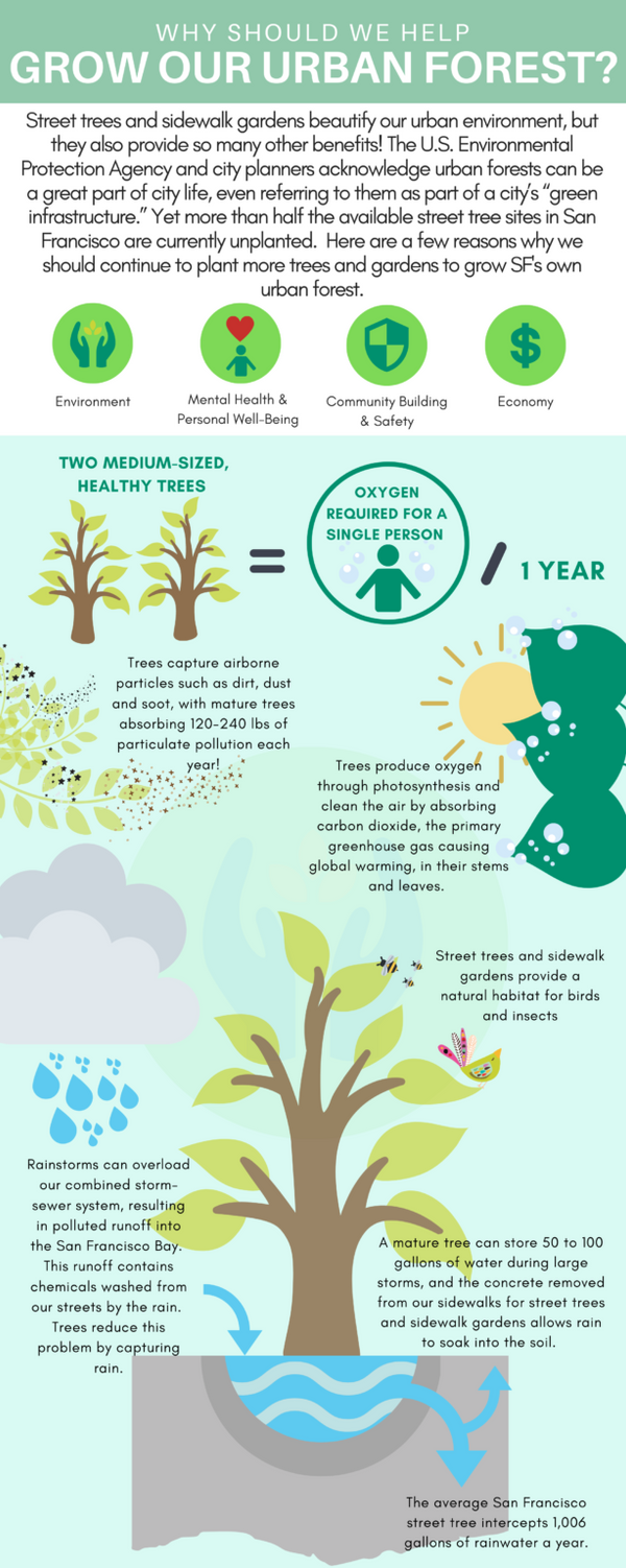 Benefits of Urban Greening | FriendsOfUrbanForest