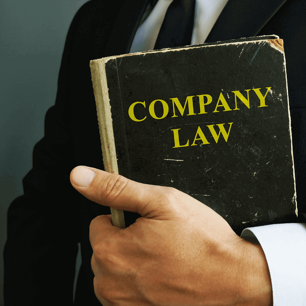 The structure of the Companies Law 31/1990