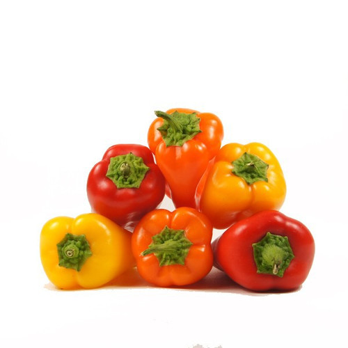 Mini Poivron doux 3 Couleurs (965) | Les Halles Joli-Mai