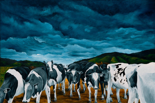Moooove Over - Storm Coming | Print | Greeting Card | Kim Staples Art ...