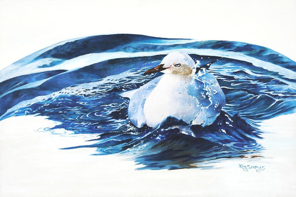 Seagull - Bath Time | Print | Greeting Card | Kim Staples Art | Birds ...