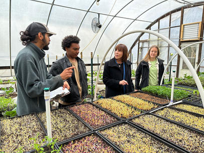 Growing High Point | Urban Agriculture