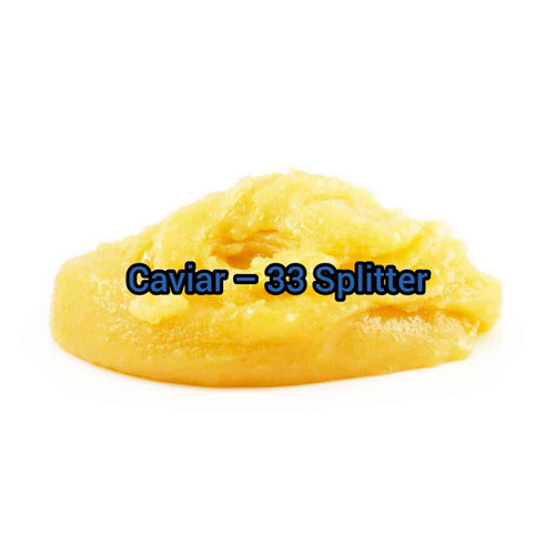 Caviar – 33 Splitter | Blue's Cannabis