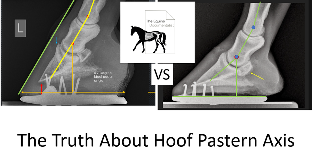 The Truth about Hoof Pastern Axis