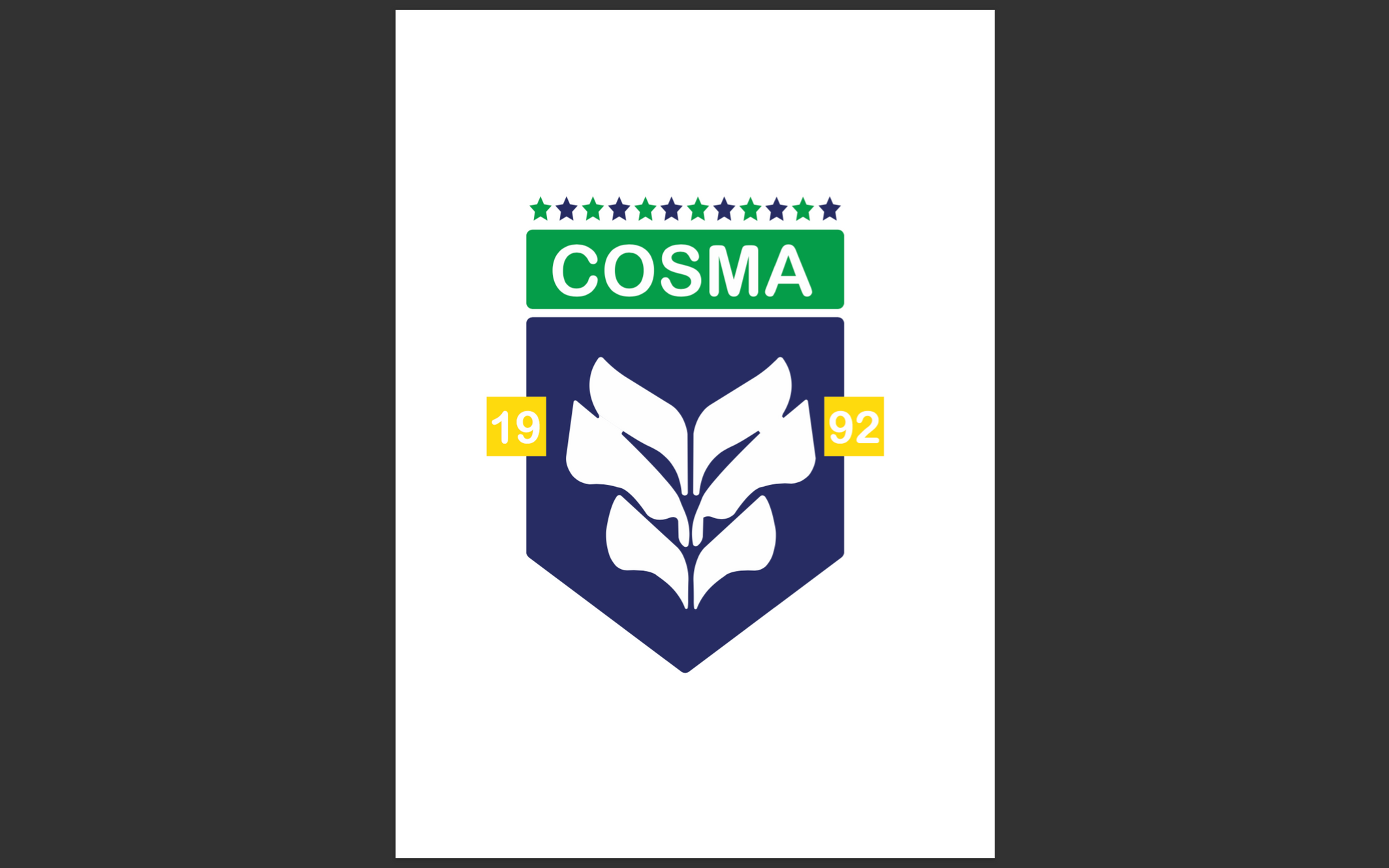 COSMA GENERAL site officel ( ACCUEIL) Guyane