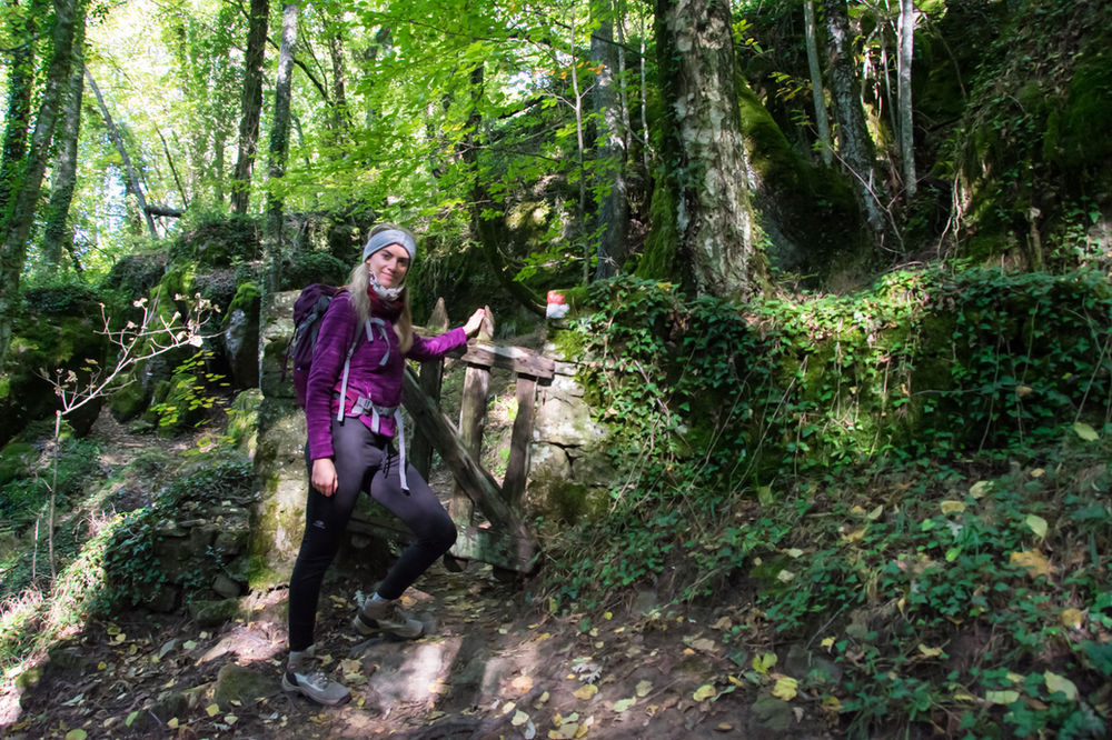 Trekking al Santuario della Verna: come arrivare e il percorso ad ...