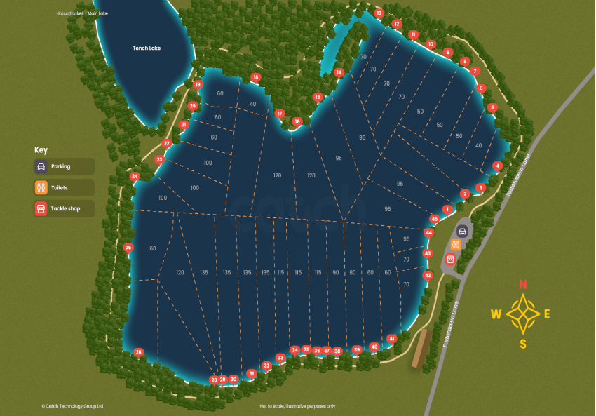 THE MAIN LAKE | horcott