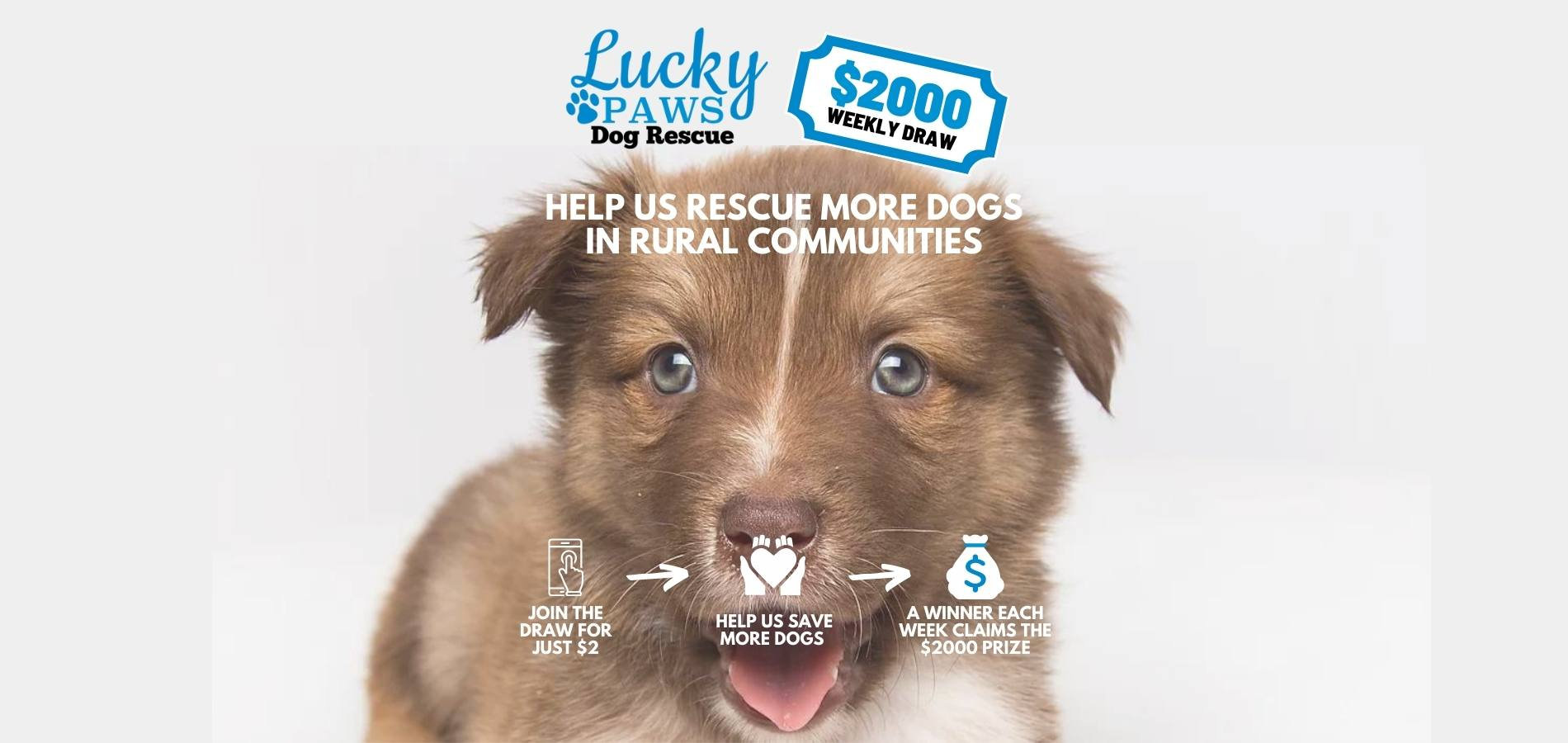 REWARDS | Lucky Paws Dog Rescue