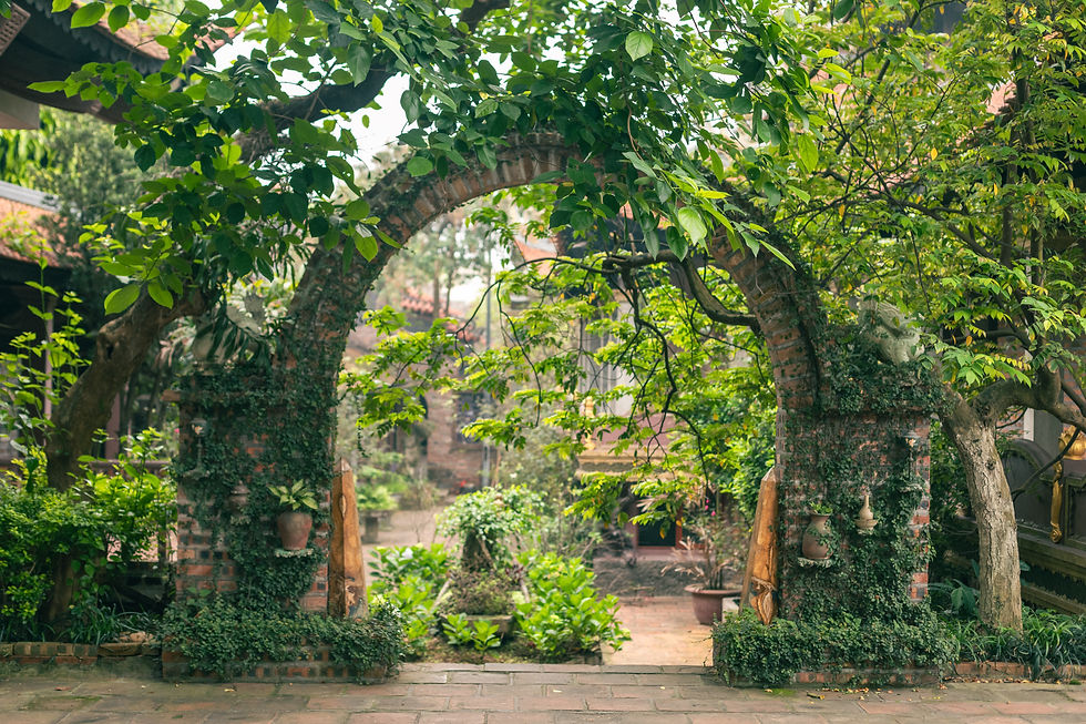 Bat Trang Tour | Vigo