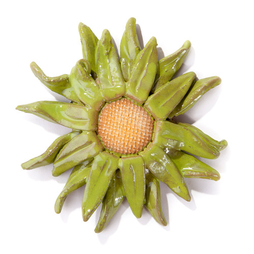 Gerbera Daisy - Chartreuse | blackcatpottery