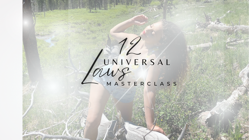 PROGRAMS | Anita Amon