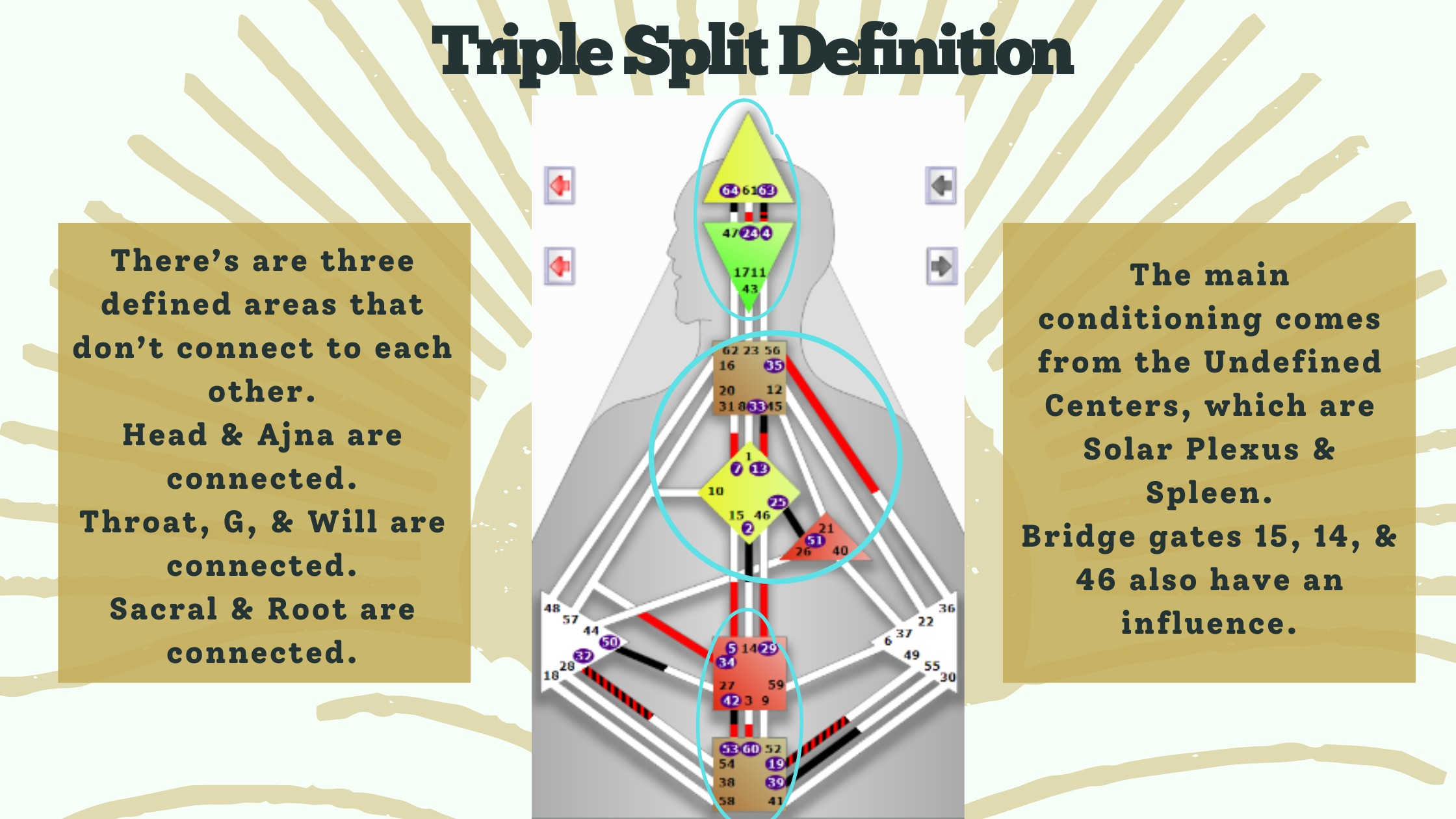 What is Definition in Human Design?