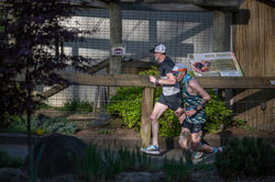 Running Events | Loop the Lemur at the Ross Park Zoo | Binghamton, NY