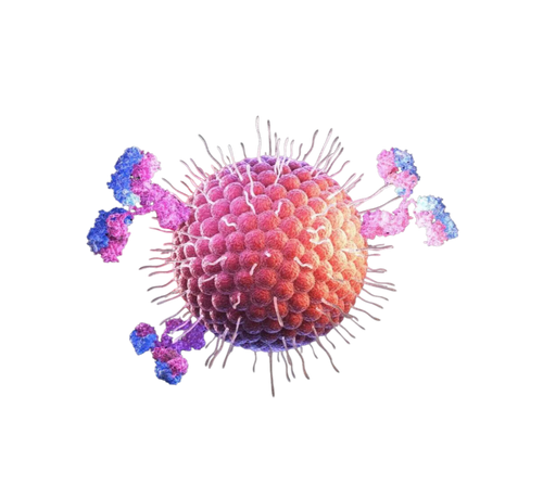 HSV 1 or 2 Package | seamoss