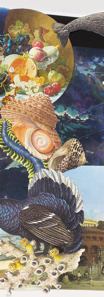 Tom Johnson Art | artist