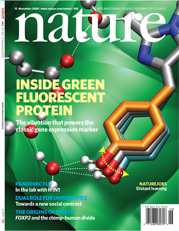 Pathway across the blood–brain barrier | OffspringBiosciences