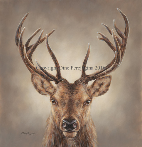 'Stag Presence' | dinaperejogina