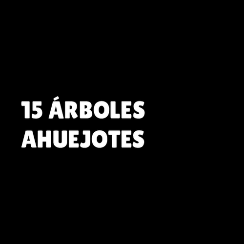 Dona 15 árboles ahuejotes | Santuario Ajolote