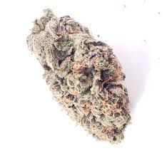 CRYSTAL COMA | TheClonePatch