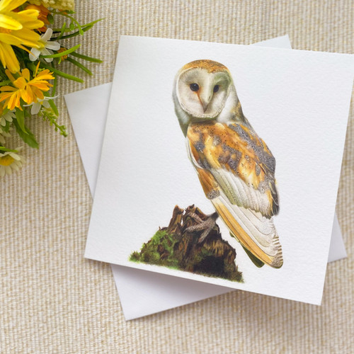 Barn Owl Individual Greetings Card | Ruth's Portraits