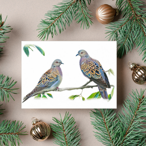 Two Turtle Doves: Christmas Card | Ruth's Portraits