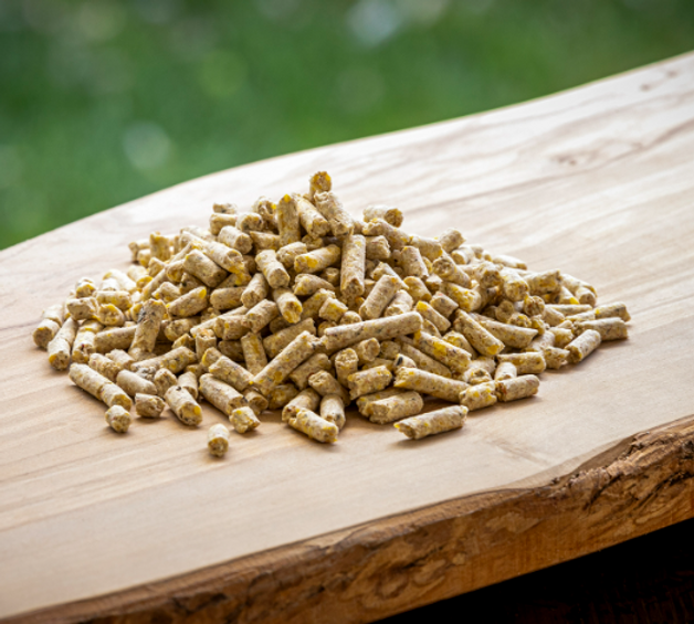 Your pig's diet - grain