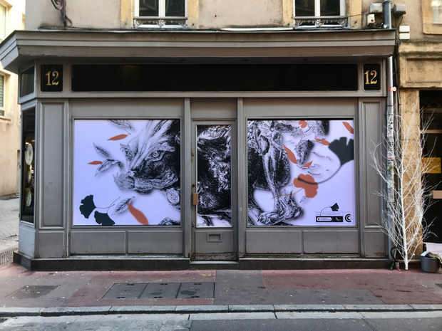 STUDIO VÉBÉ - Décoration extérieur