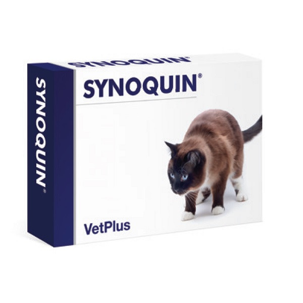 Synoquin Cat | VetPlus