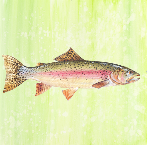 "Salmon" © Square Glass Cutting Board | carnegie-blair