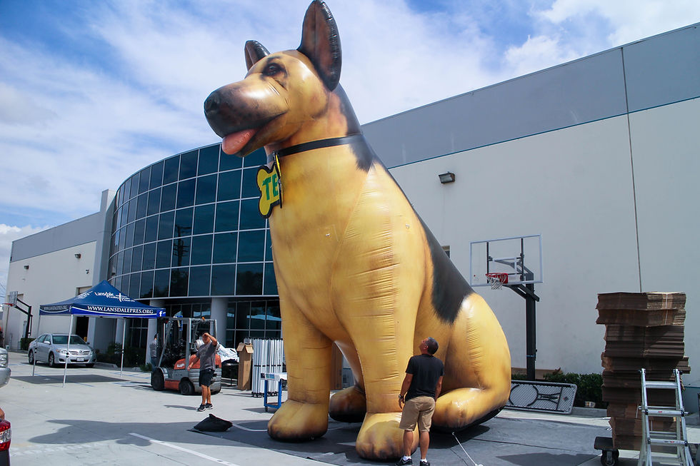 Inflatable Animals: German Shepherd | Los Angeles, CA