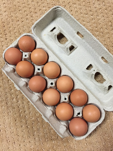 Farm Fresh Eggs - 1 dozen | Bryndlewood Gardens