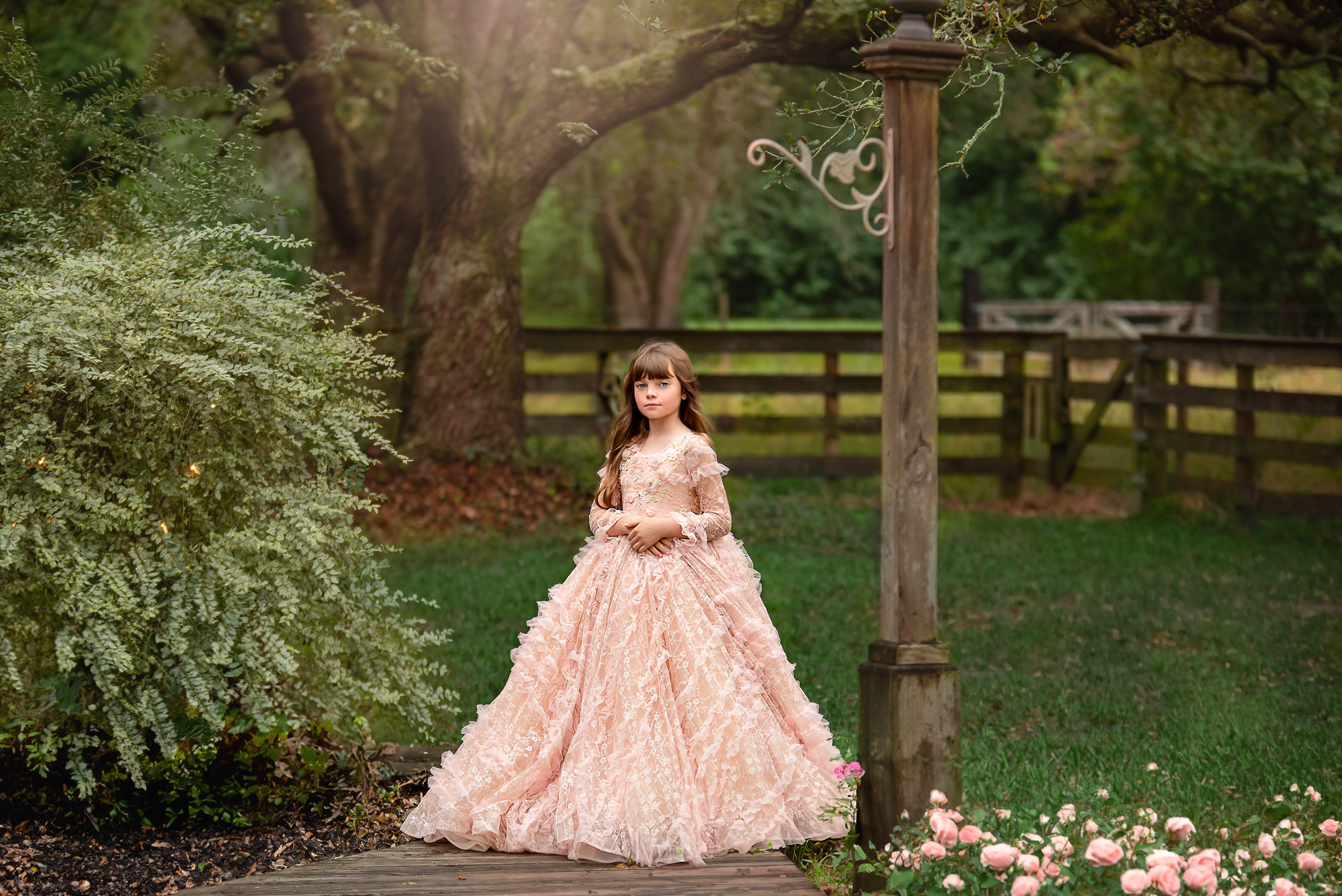 Our Blog - Explore Photography Passion & Expertise | Polly Acioli ...