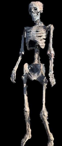 Animated Grey corpse leaper | Johnson fab and cont